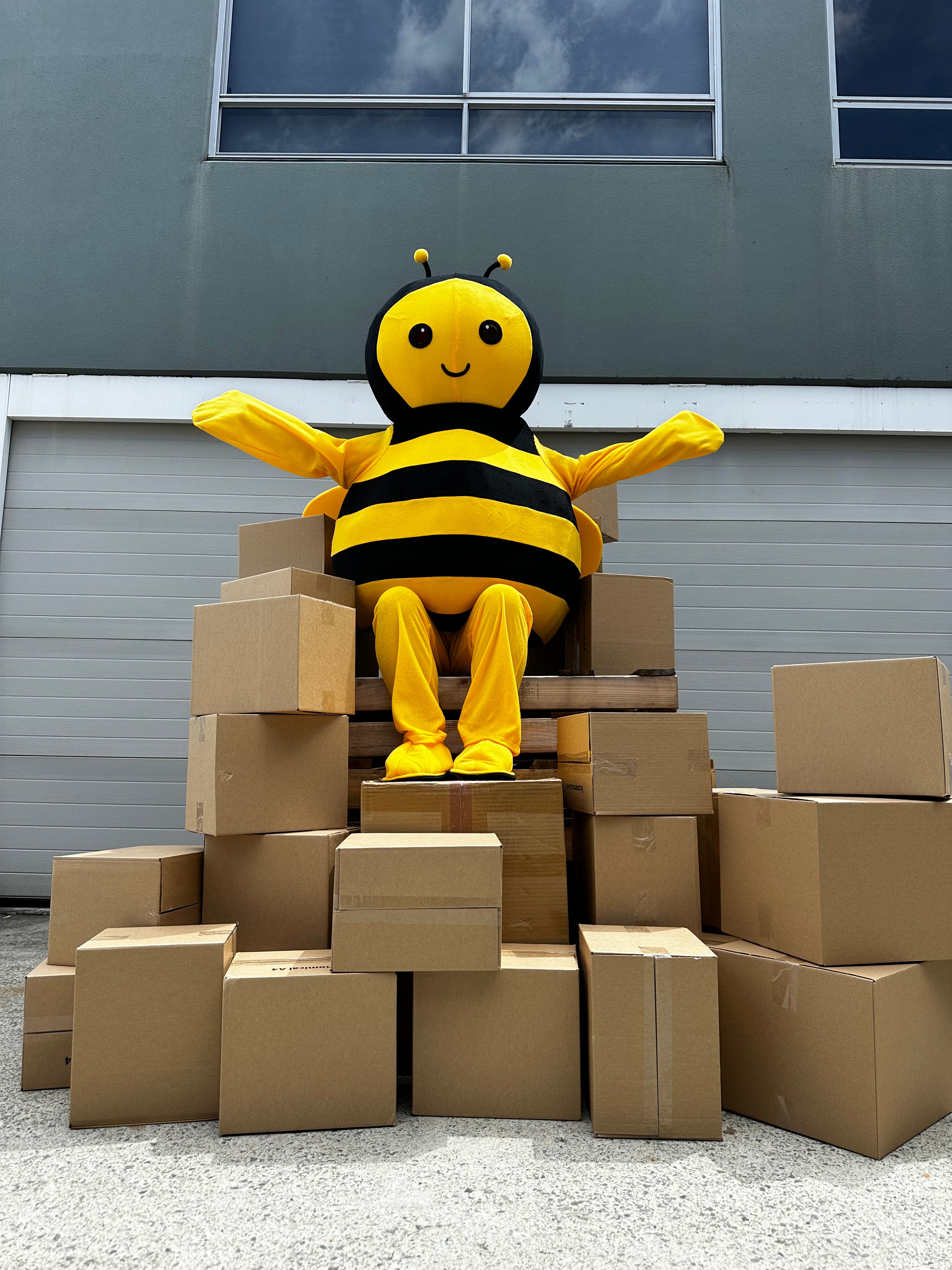 Mystery Boxes - One Day Only! I The Bento Buzz