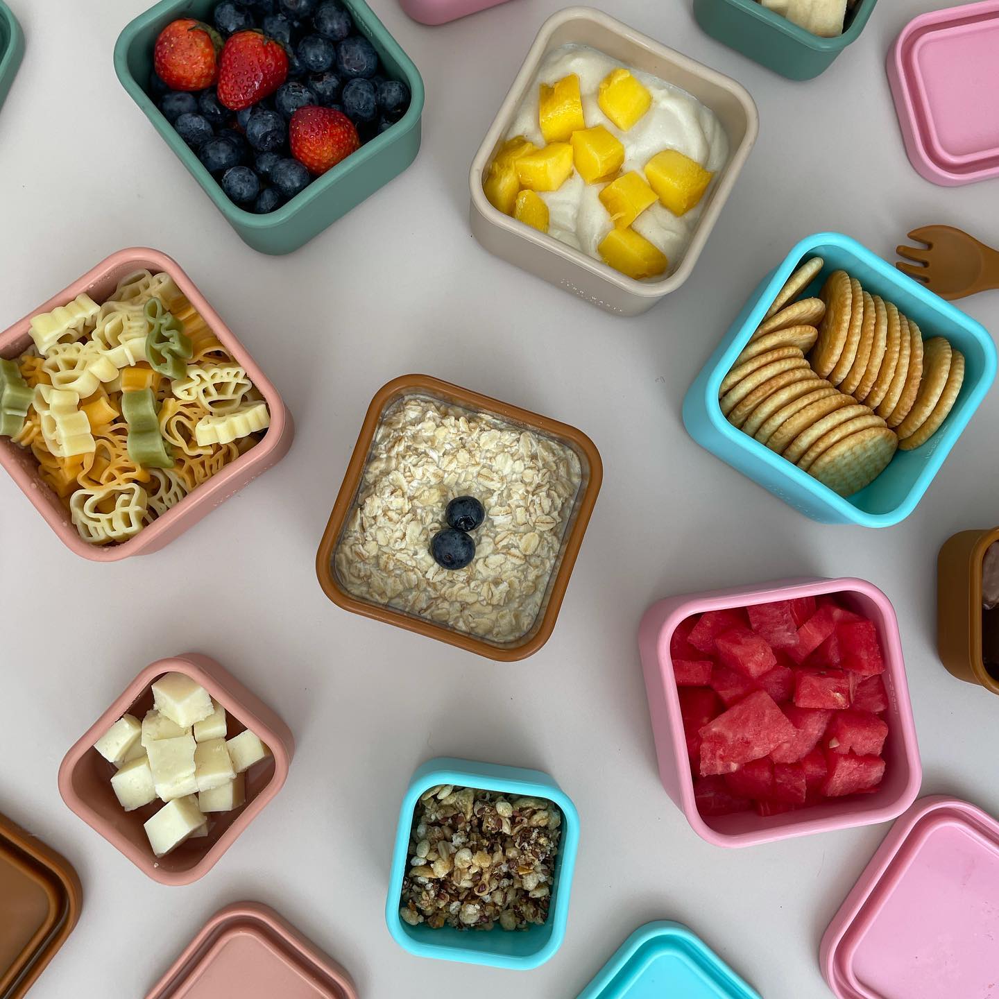 ZWP Mini Containers – The Bento Buzz