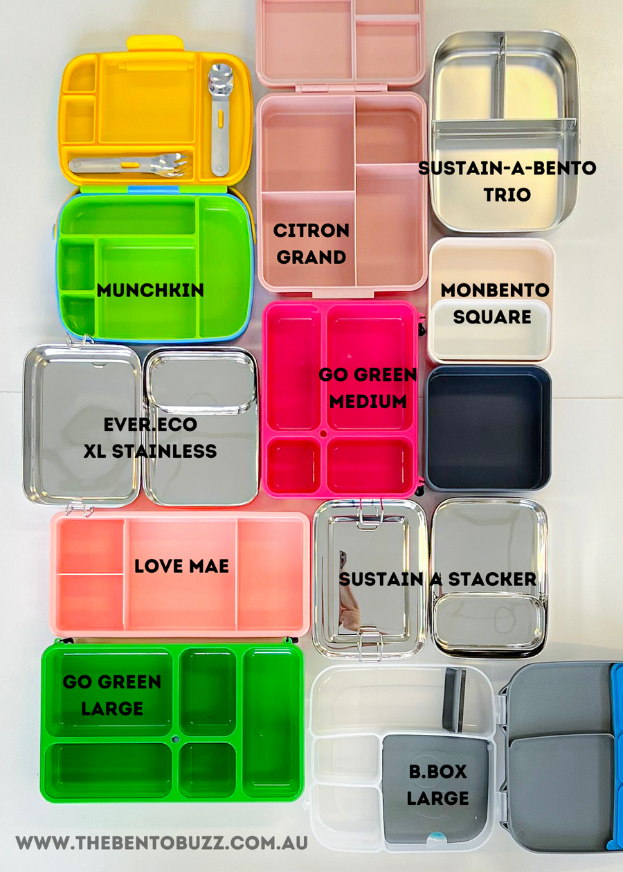 2022 Lunch Box Comparison Photos | The Bento Buzz