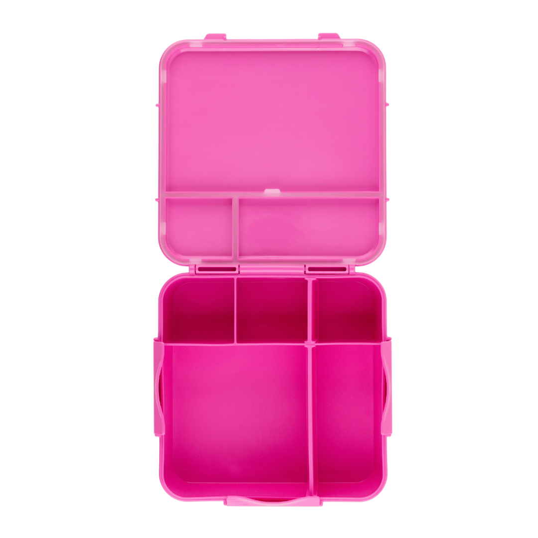 Stainless Steel Lunch Boxes I The Bento Buzz