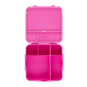 Stainless Steel Lunch Boxes I The Bento Buzz