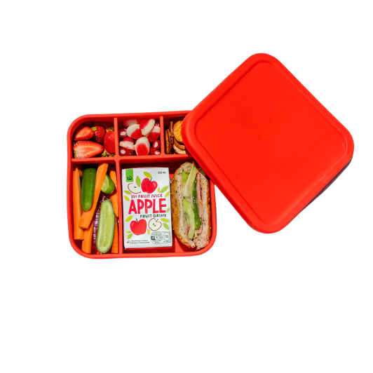 Silicone Bento Lunch Box I The Bento Buzz