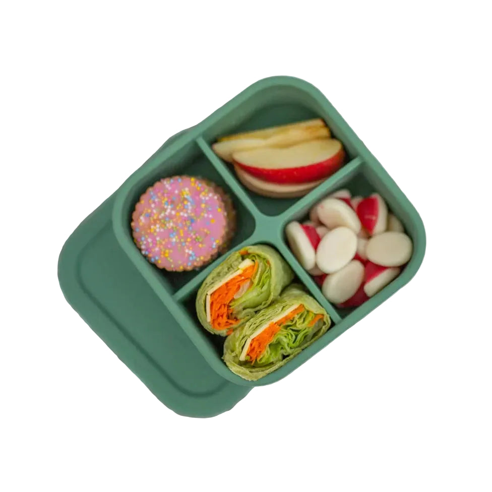 Silicone Bento Snack Box | The Bento Buzz